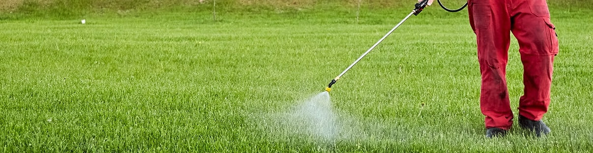 Pest & Weed Control Tips for Sheboygan County Homes